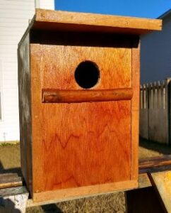 Barn Owl Boxes – Rodent Control… the NATURAL Way