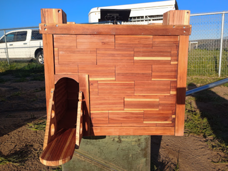 Barn Owl Boxes – Rodent Control… the NATURAL Way