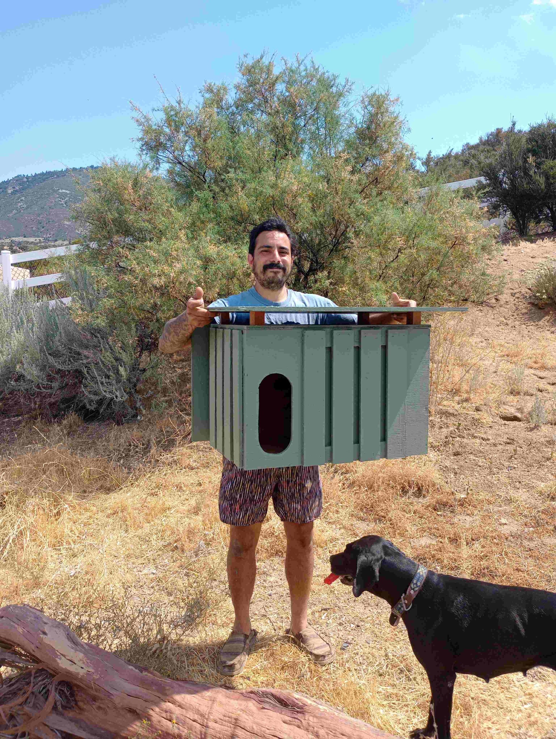 Barn Owl Boxes – Rodent Control… the NATURAL Way